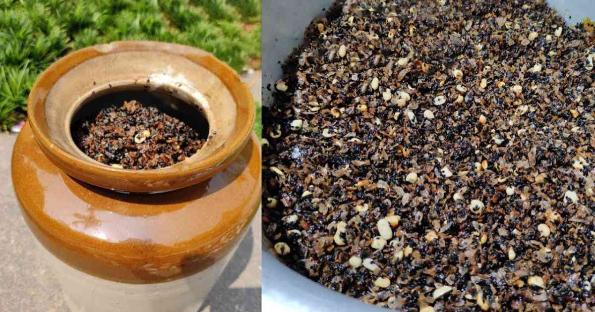 Avil Ellu Vilayichathu Recipe | രാവിലെ ഇതൊരു സ്‌പൂൺ കഴിച്ചാൽ ആരോഗ്യവും ...